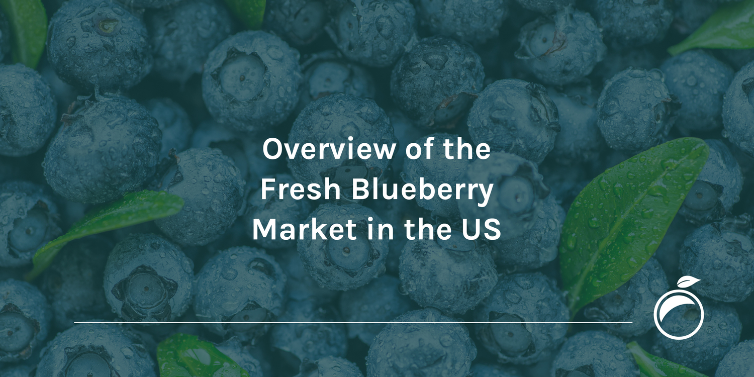 Overview Of The Fresh Blueberry Market In The US ProducePay Overview Of The Fresh Blueberry Market In The US ProducePay