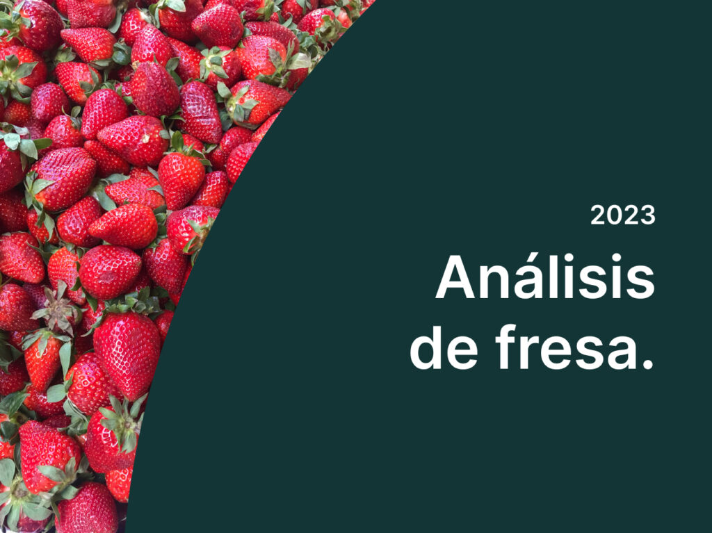 Regiones productoras de fresa en México