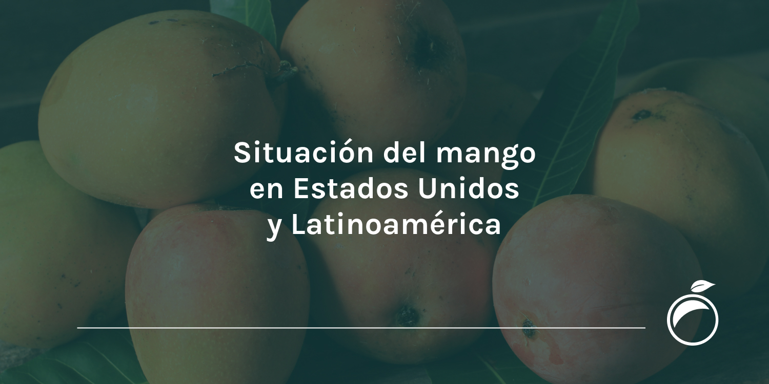 Situación del mango en Estados Unidos y Latinoamérica - ProducePay