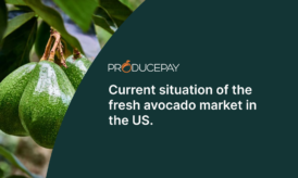 The 8 IFC Environmental and Social Performance Standards: A Guide for ...