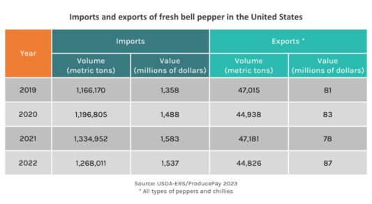 Analysis of the Current Fresh Bell Pepper Market in the US | ProducePay