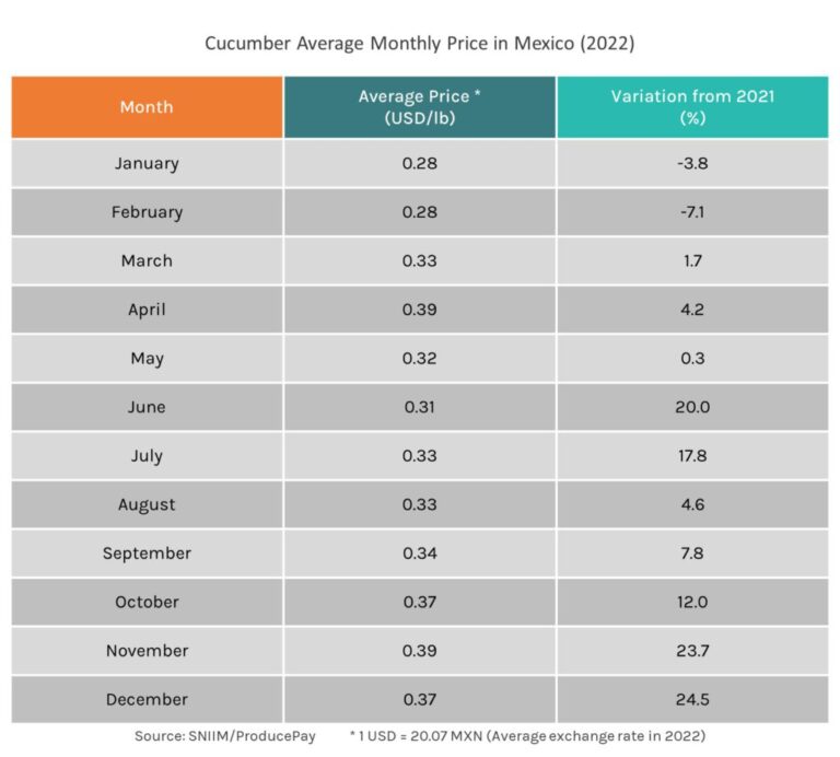 Cucumber market situation in the United States and Latin America ...