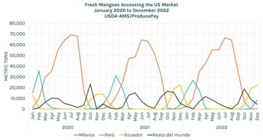 Mango market situation in the United States and Latin America. - ProducePay
