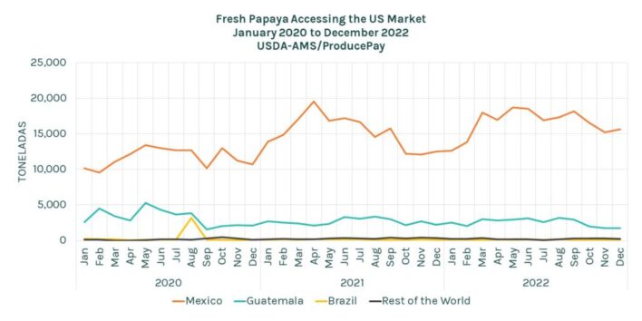 The papaya market in the United States and Latin America. - ProducePay