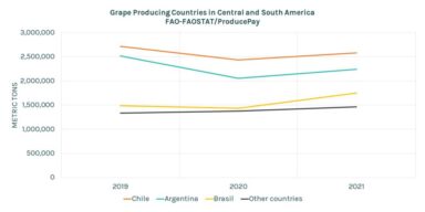 Grape market insights for the United States and Latin America. - ProducePay