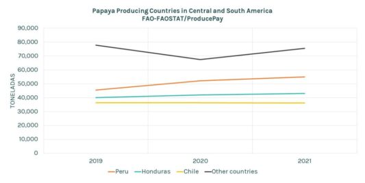 The papaya market in the United States and Latin America. - ProducePay
