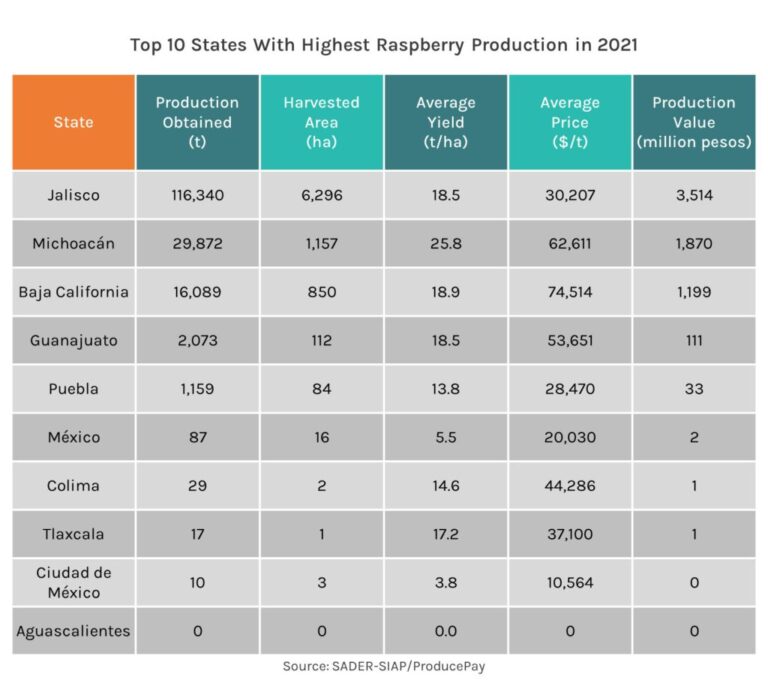 Raspberry Producing Regions in Mexico - ProducePay