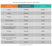 The Chilean agroindustry: production and exports. - ProducePay