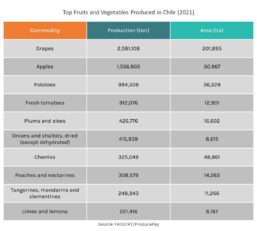 The Chilean agroindustry: production and exports. - ProducePay