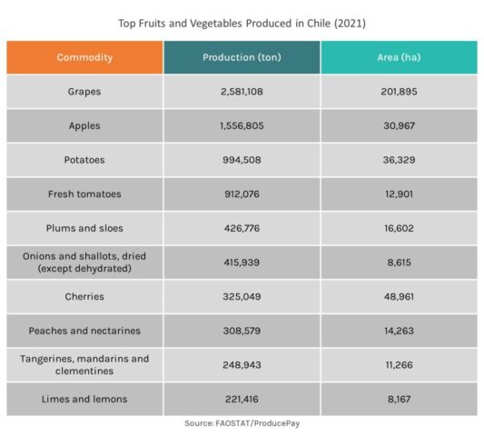 The Chilean agroindustry: production and exports. - ProducePay