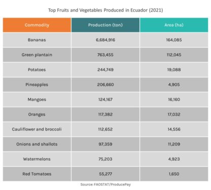 General overview of production and exports in Ecuador. - ProducePay