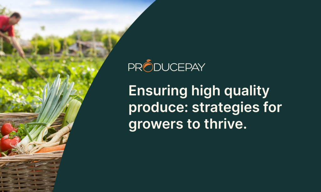 Ensuring high quality produce: strategies for growers to thrive - ProducePay